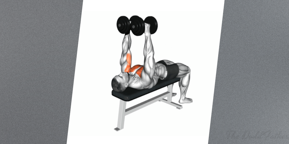 Dumbbell Chest Workouts To Grow a Huge Chest in 2026