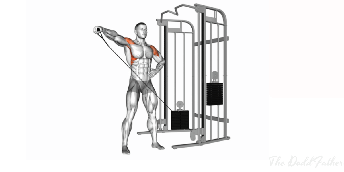 Cable Lateral Raise: Sculpt Your Shoulders Like a Pro 2025